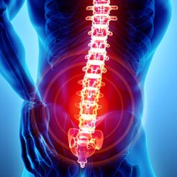 Lumbar Guard™ - Lower Back Support Brace For Pain Relief – RELIFF